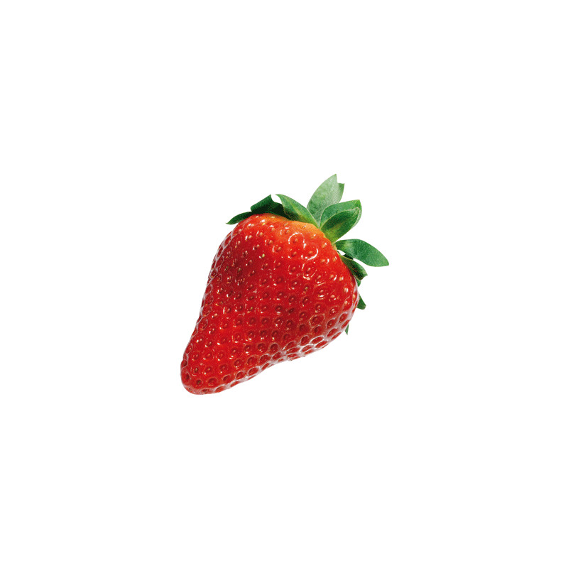 STICKER FRAISE NATURE (A0105)